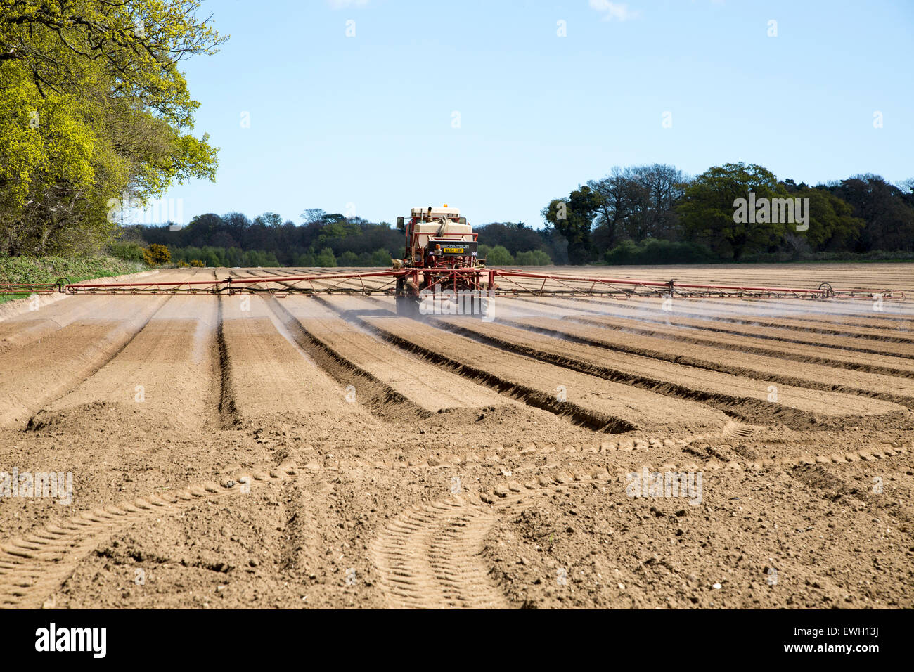 Farm machinery spraying an arable field of bare soil, Shottisham ...