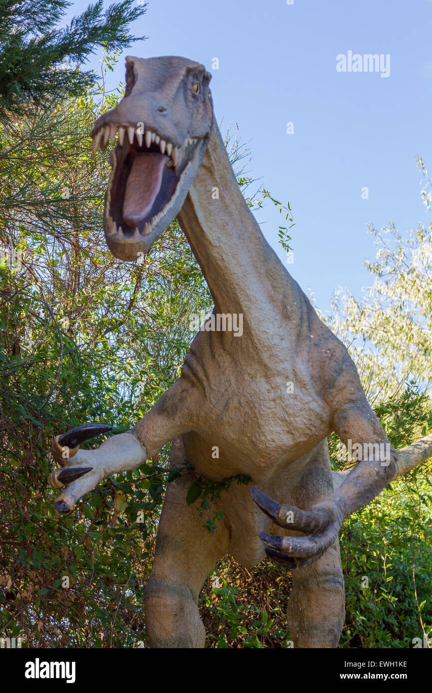 Velociraptor dinosaur carnivore fast Stock Photo - Alamy