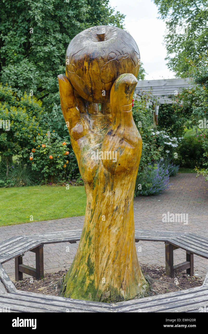 Issac newton apple hi-res stock photography and images - Alamy