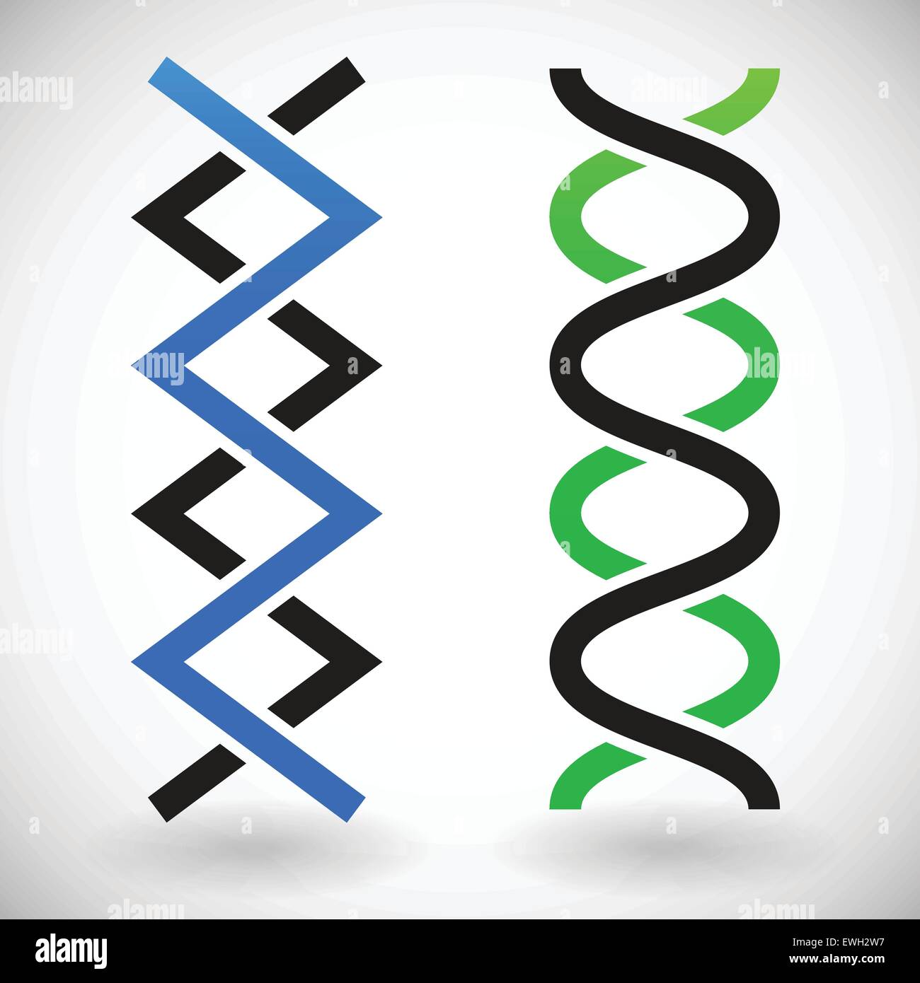 Helical structure vector vectors hi-res stock photography and images ...