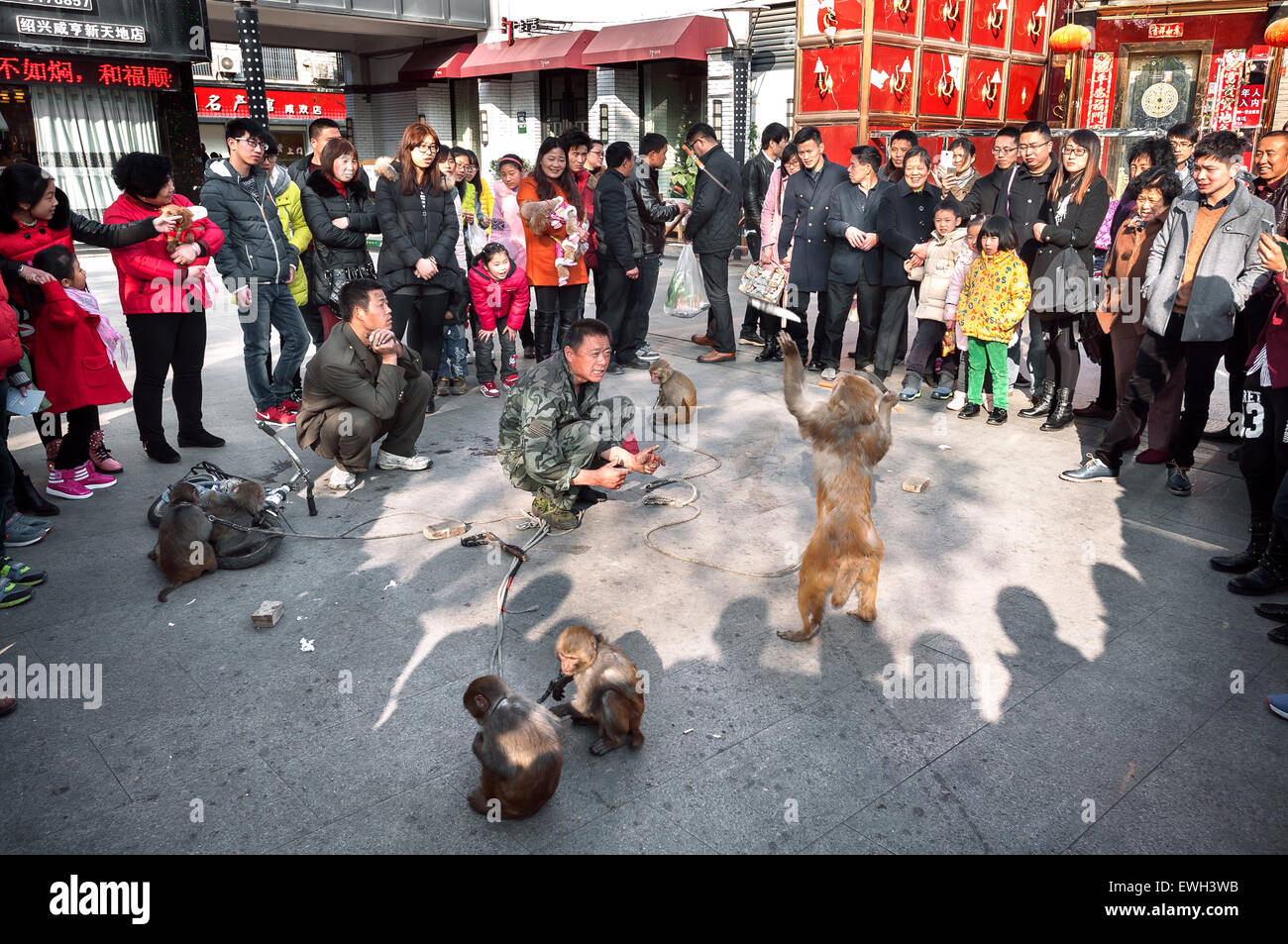 Monkey street hi-res stock photography and images - Alamy