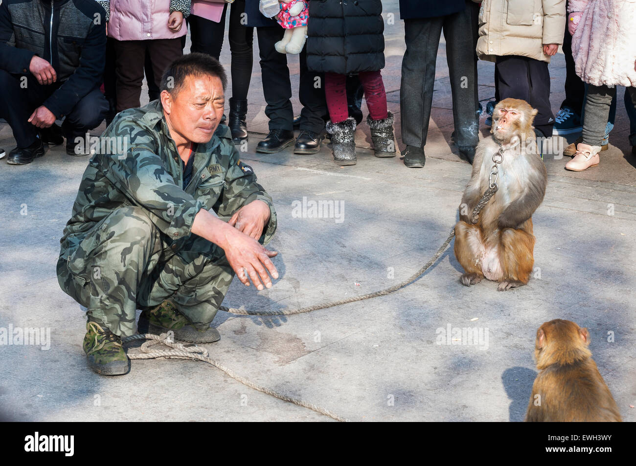 Trained monkey smokes during a street performance in Shaoxing, China ...