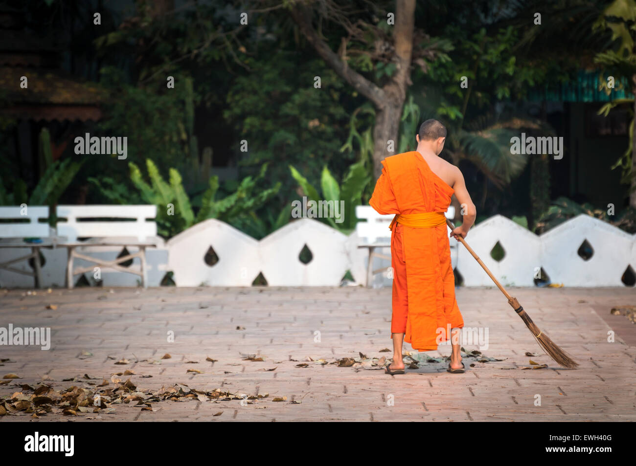Novice monk working hi-res stock photography and images - Alamy