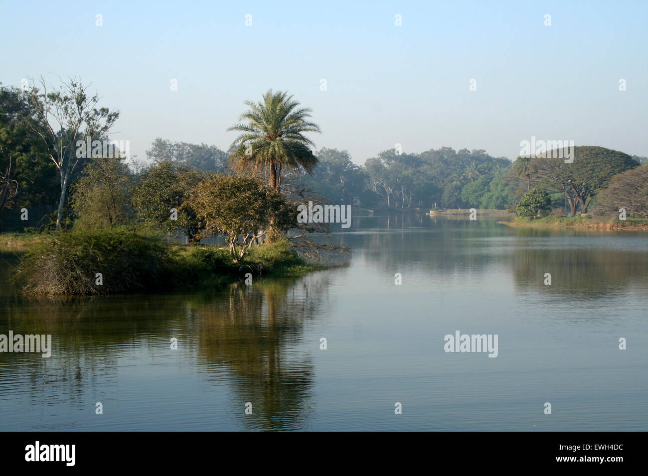 Green trees around lake hi-res stock photography and images - Alamy