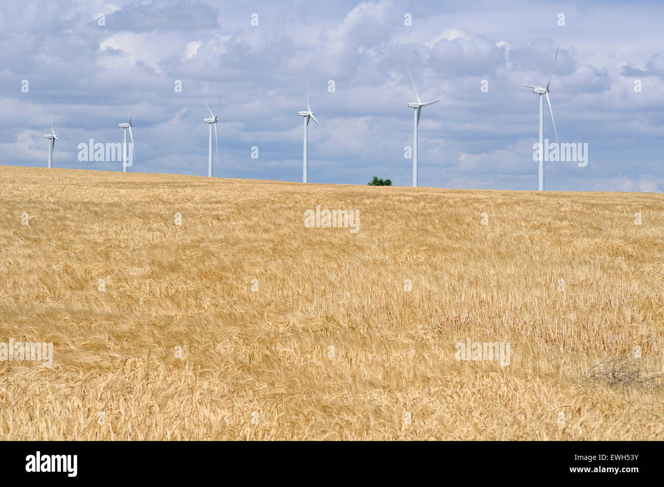 Windpower plant farm hi-res stock photography and images - Alamy