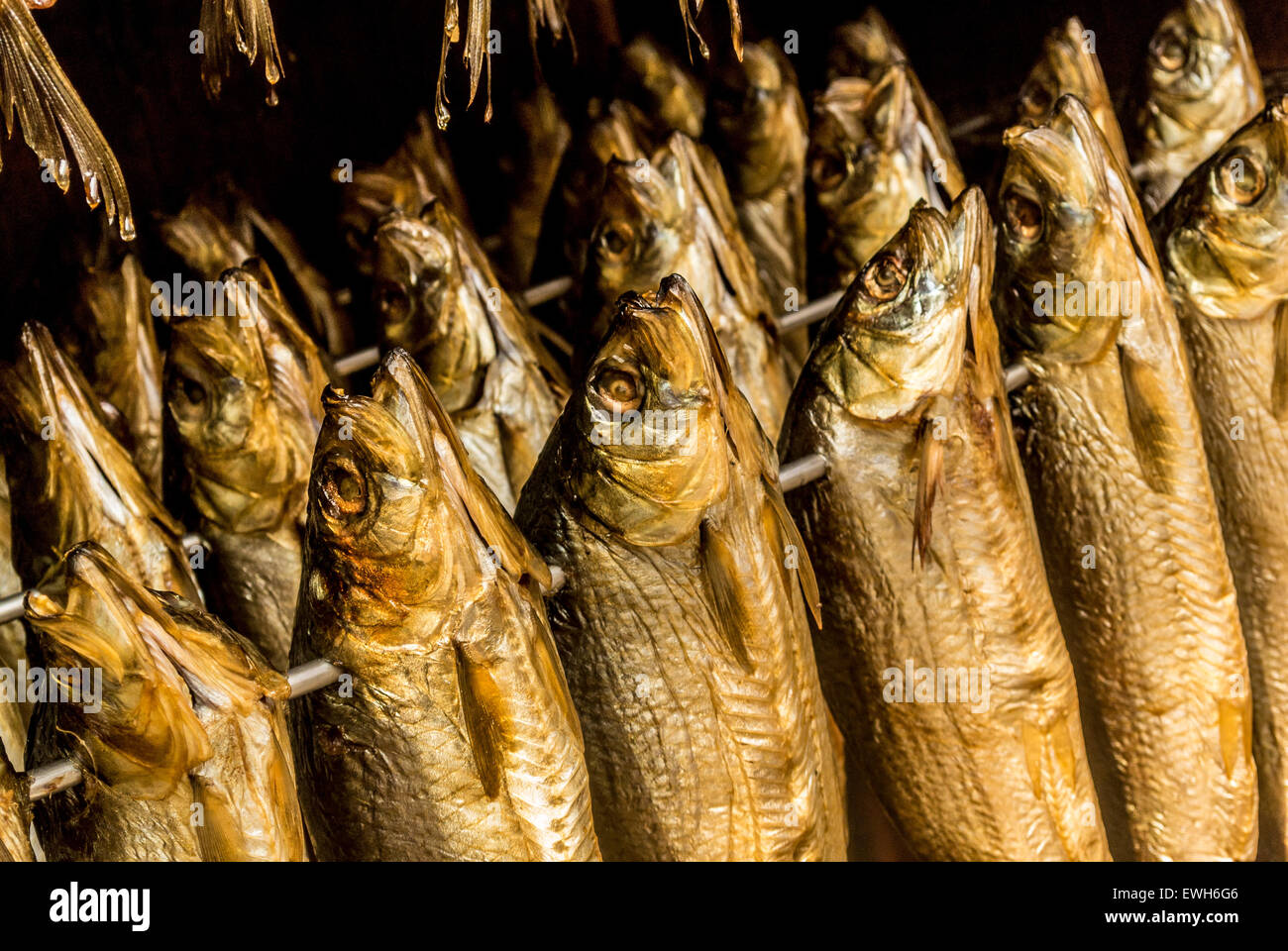 Kippers smoking in a smoking kiln Stock Photo - Alamy