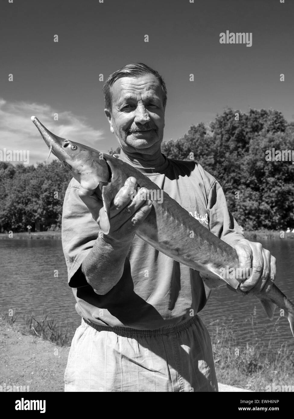 Golovniov Black and White Stock Photos & Images - Alamy