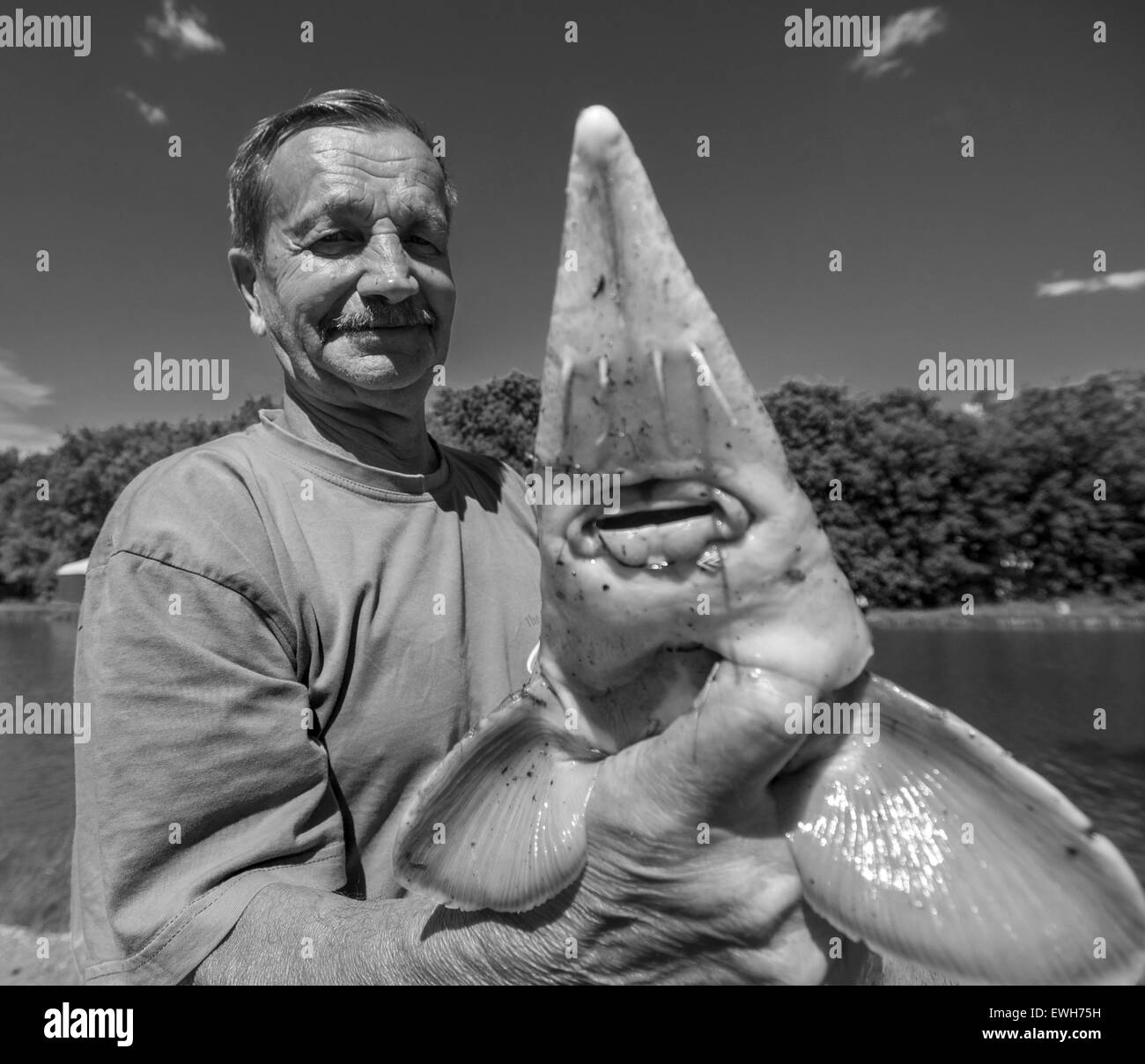 Fish wire Black and White Stock Photos & Images - Alamy