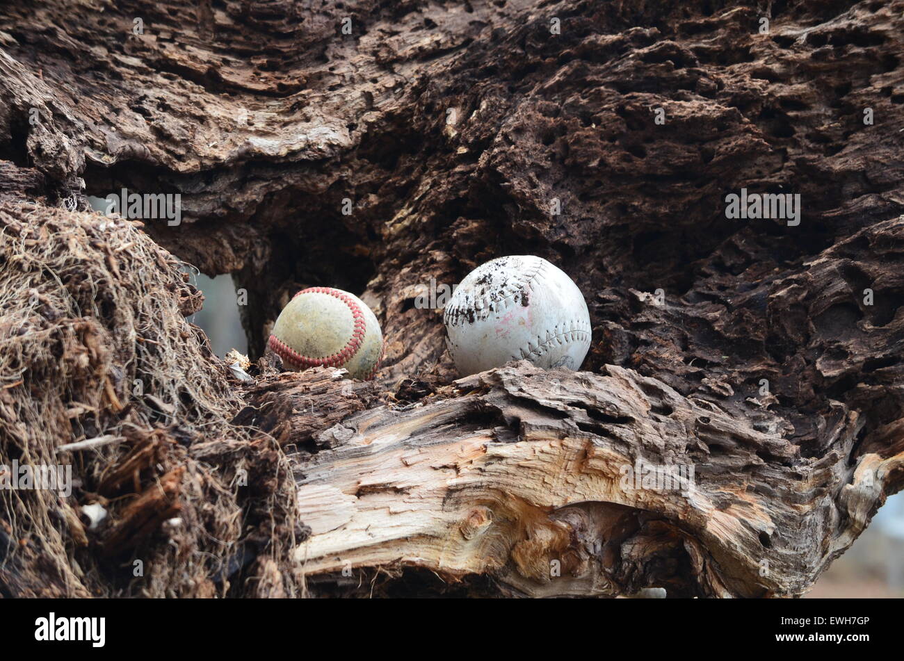 Softball and hardball Stock Photo - Alamy