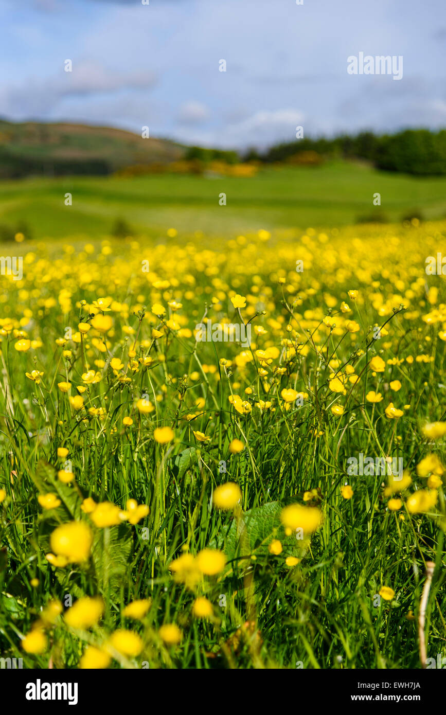 Shallow valley south hi-res stock photography and images - Alamy
