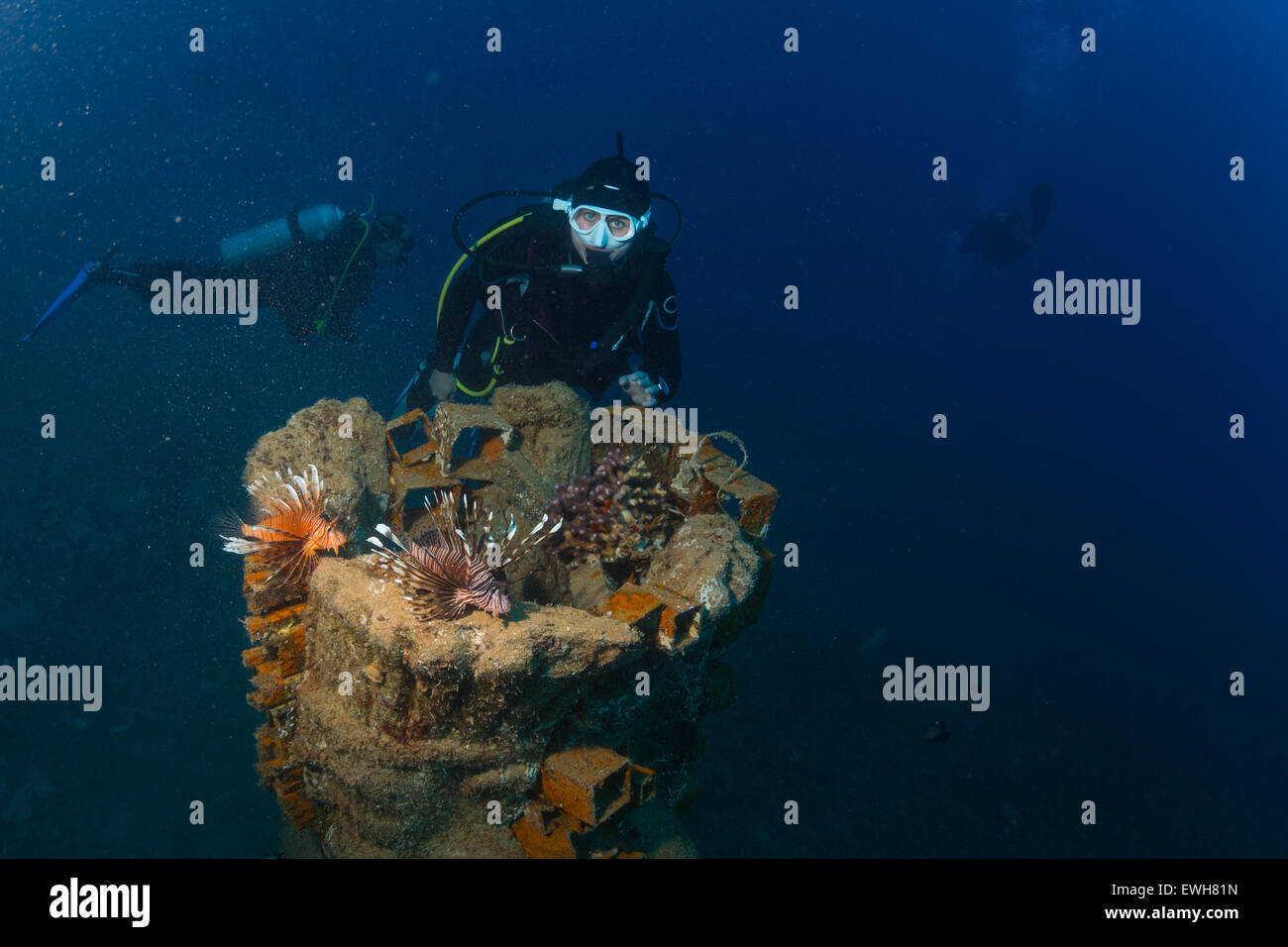 Lionfish on the wreck "Lighthouse" near the city Dahab in Egypt Stock ...