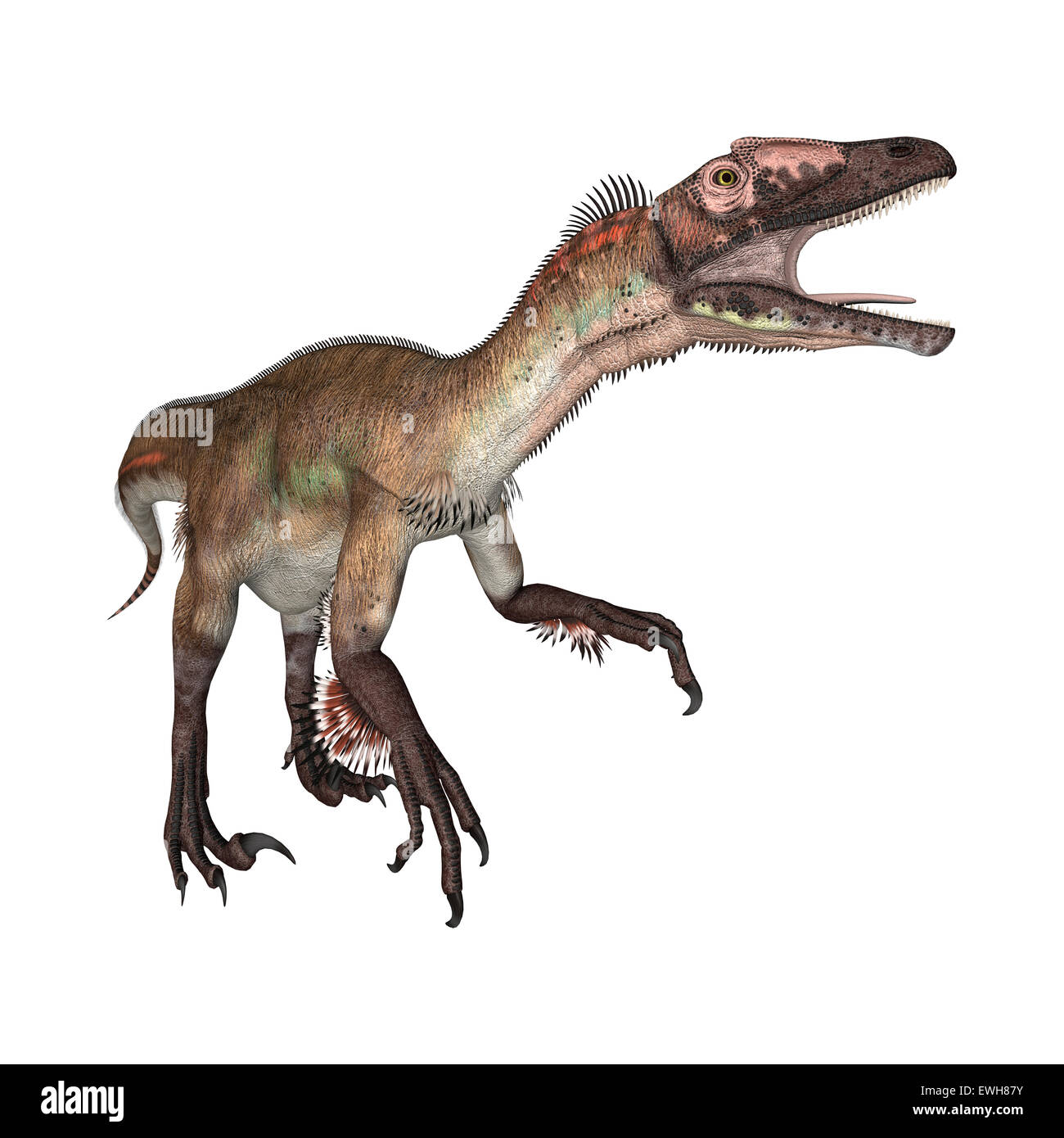 3D digital render of a dinosaur utahraptor isolated on white background ...