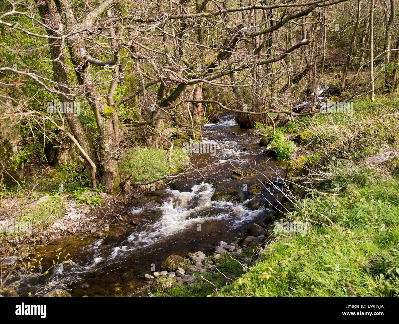 Fast flowing stream at Howtown, Ullswater, Cumbria, England, UK Stock ...