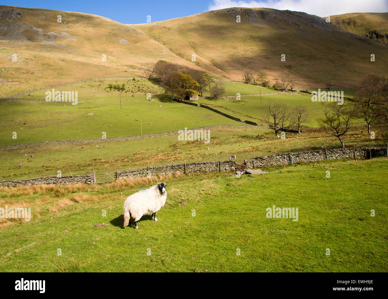 Fusedale valley, Howtown, Lake District national park, Cumbria, England ...