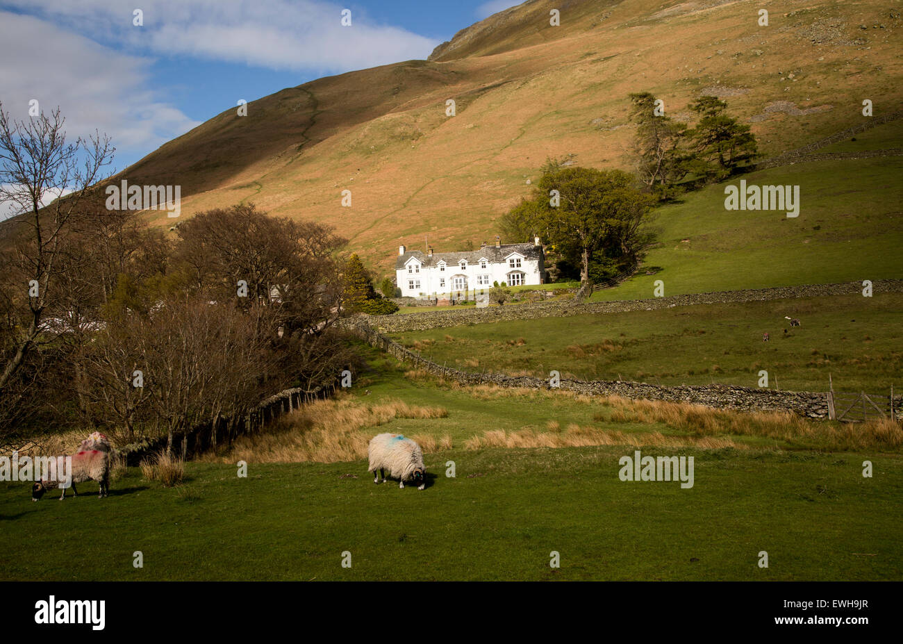 Traditional stone farmhouse at Howtown, Ullswater, Cumbria, England, UK ...