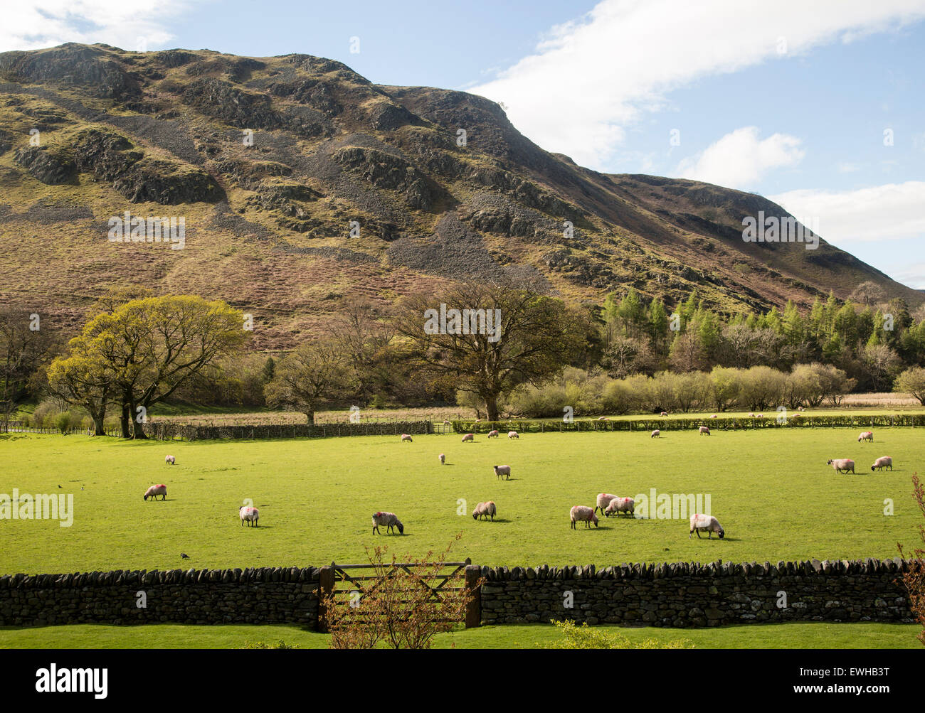 Lakeland scenery, Hallin Fell, Howtown, Ullswater, Lake District ...