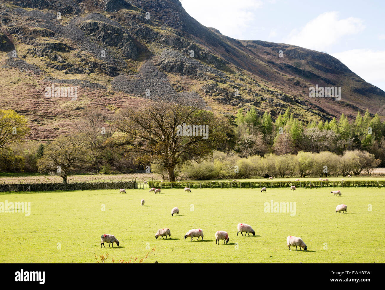 Lakeland scenery, Hallin Fell, Howtown, Ullswater, Lake District ...