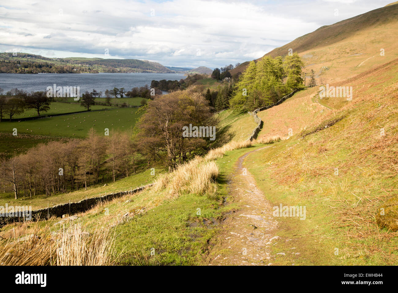 Lakeland scenery around Howtown, Ullswater, Lake District national park ...