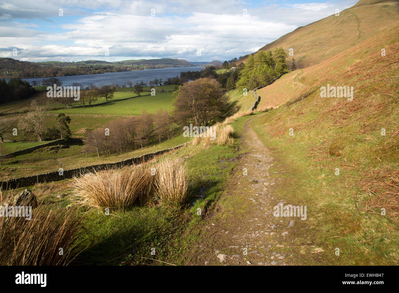 Lakeland scenery around Howtown, Ullswater, Lake District national park ...