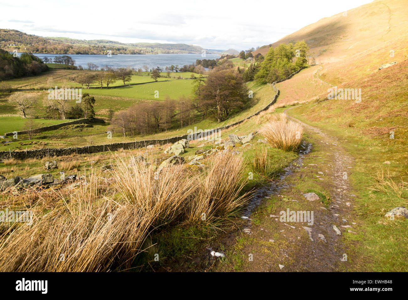 Lakeland scenery around Howtown, Ullswater, Lake District national park ...