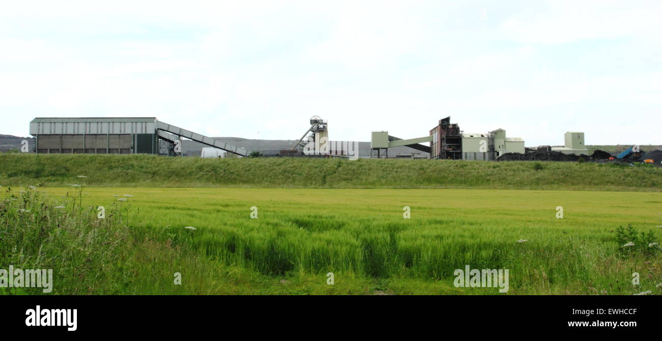 Thoresby Colliery in Nottinghamshire. Owned by UK Coal, Thoresby ...