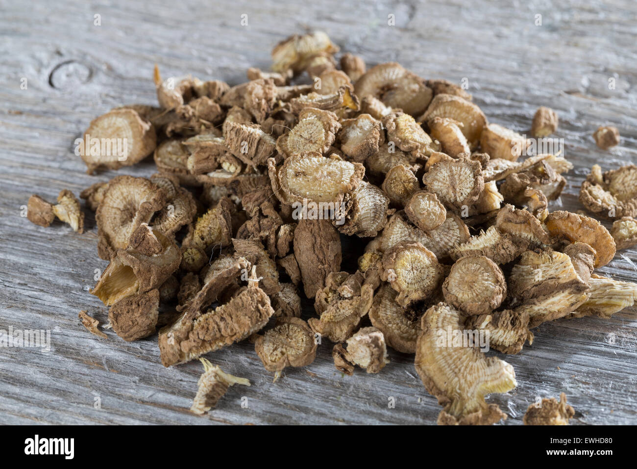 Common soapwort, crow soap, soapweed, root, roots, Echtes Seifenkraut ...