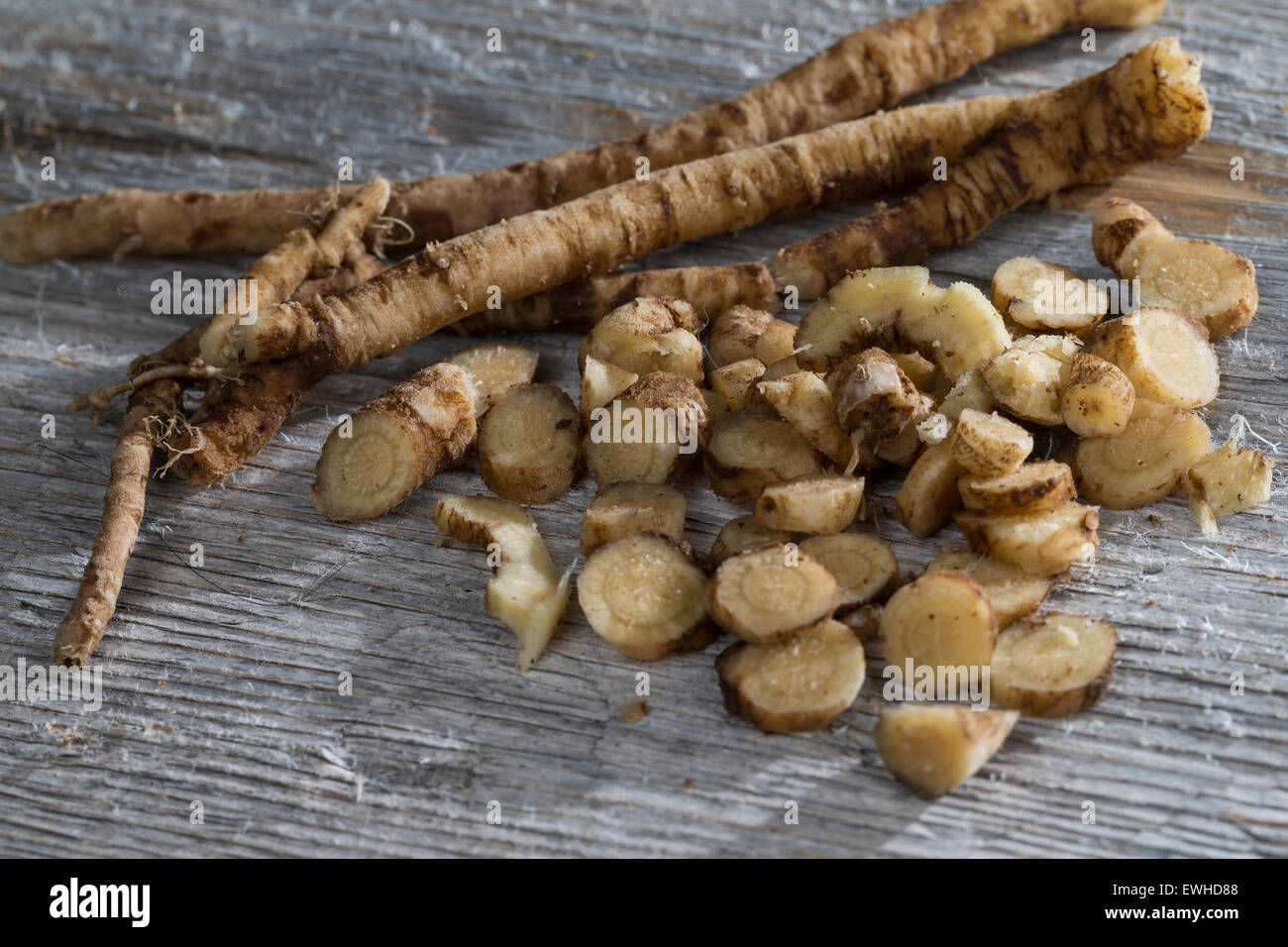 Common soapwort, crow soap, soapweed, root, roots, Echtes Seifenkraut ...