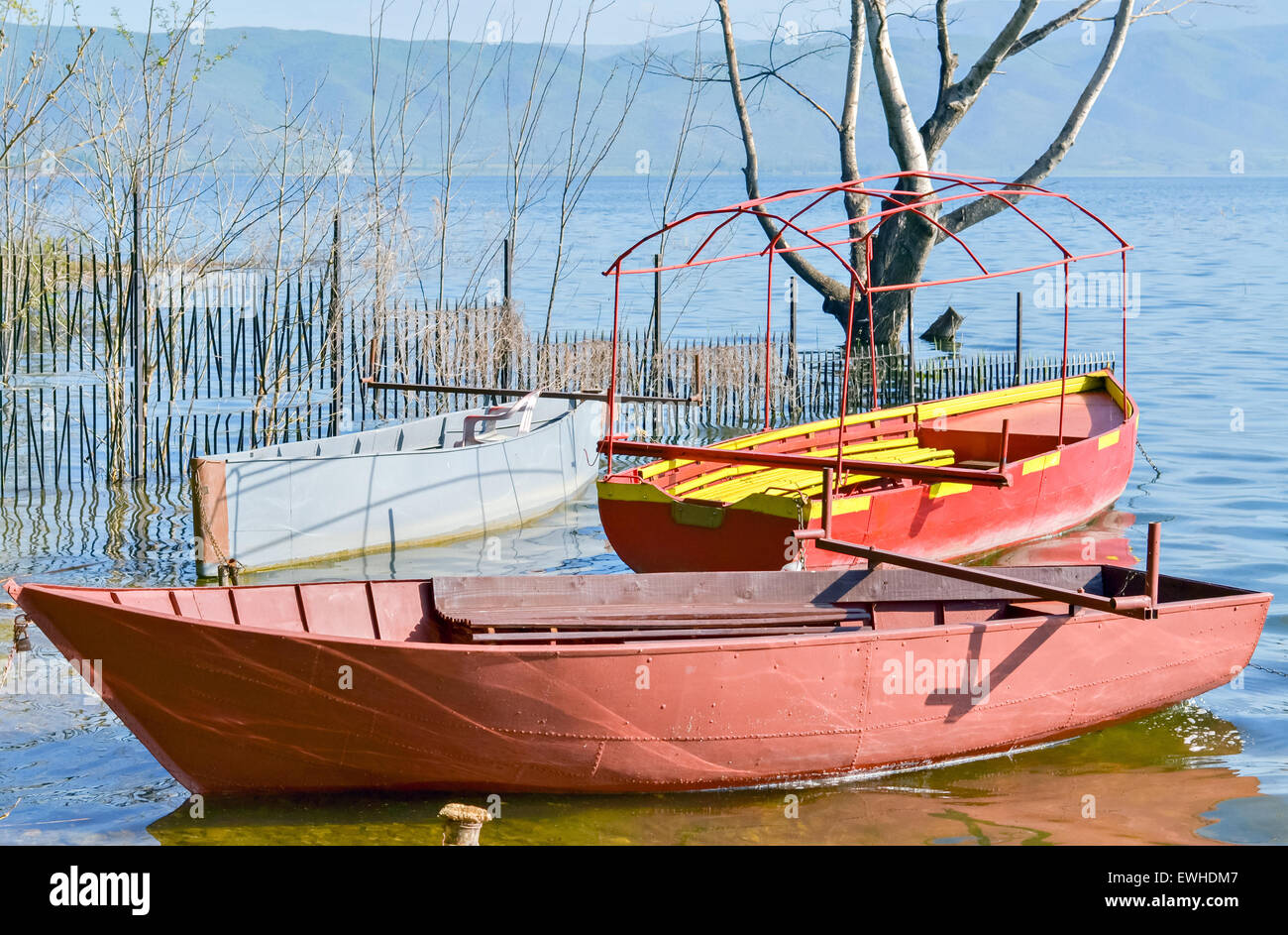 Small rowboats in the lake and a tree that grows in water Stock Photo ...