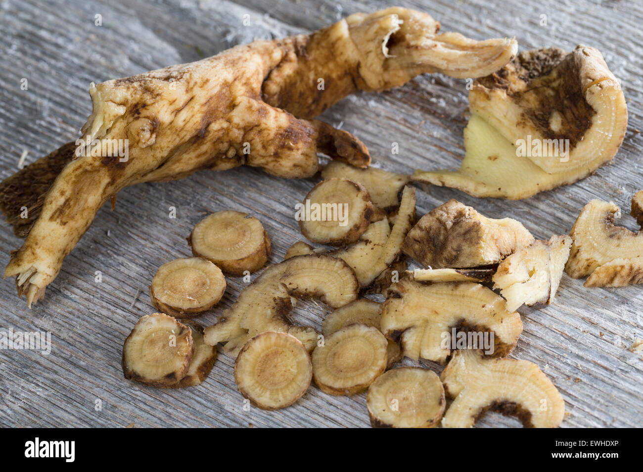 Common soapwort, crow soap, soapweed, root, roots, Echtes Seifenkraut ...