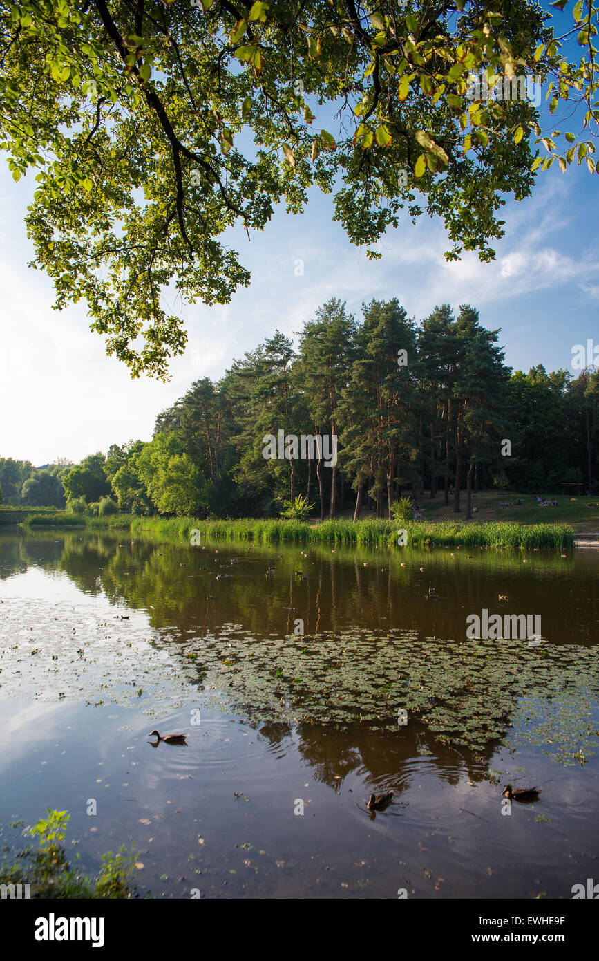 Summer nature scene hi-res stock photography and images - Alamy