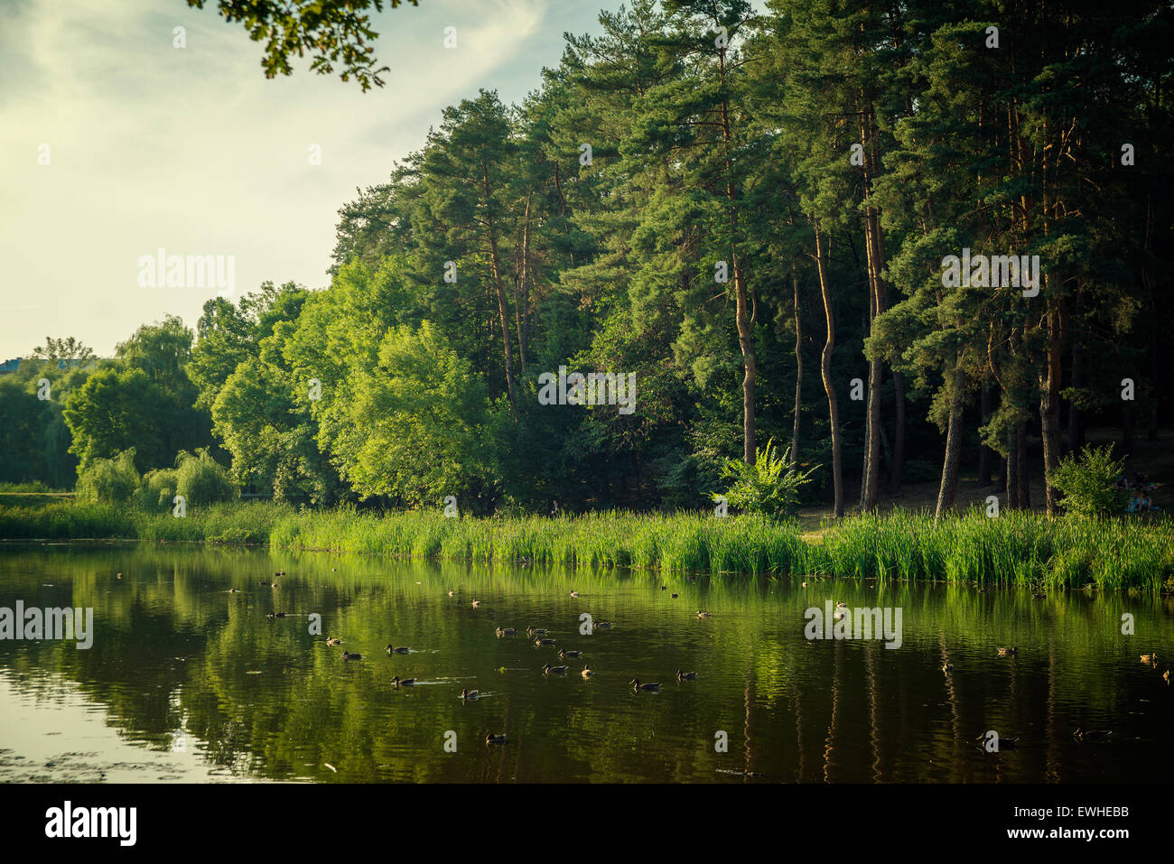 Tr summer hi-res stock photography and images - Alamy