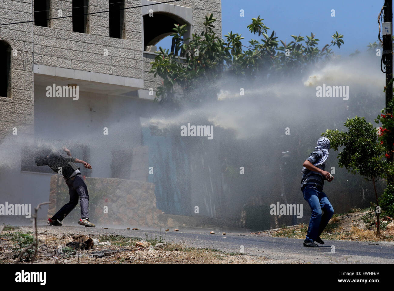 Skunk spraying hi-res stock photography and images - Alamy