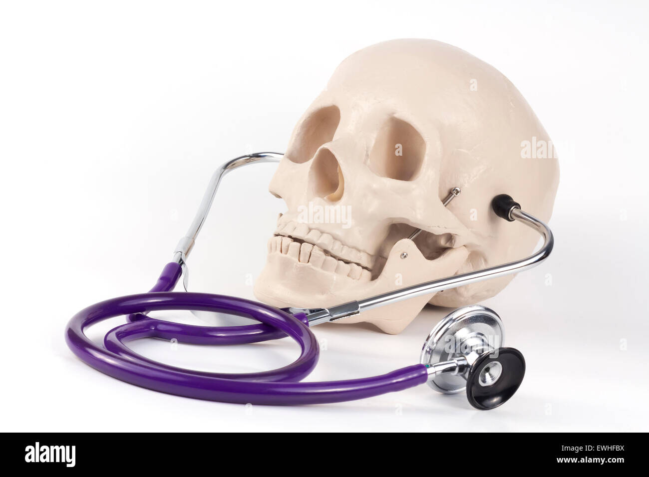 Educational medical supply skull wearing stethoscope Stock Photo - Alamy