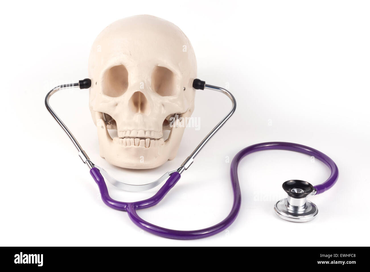 Educational medical supply skull wearing stethoscope Stock Photo - Alamy