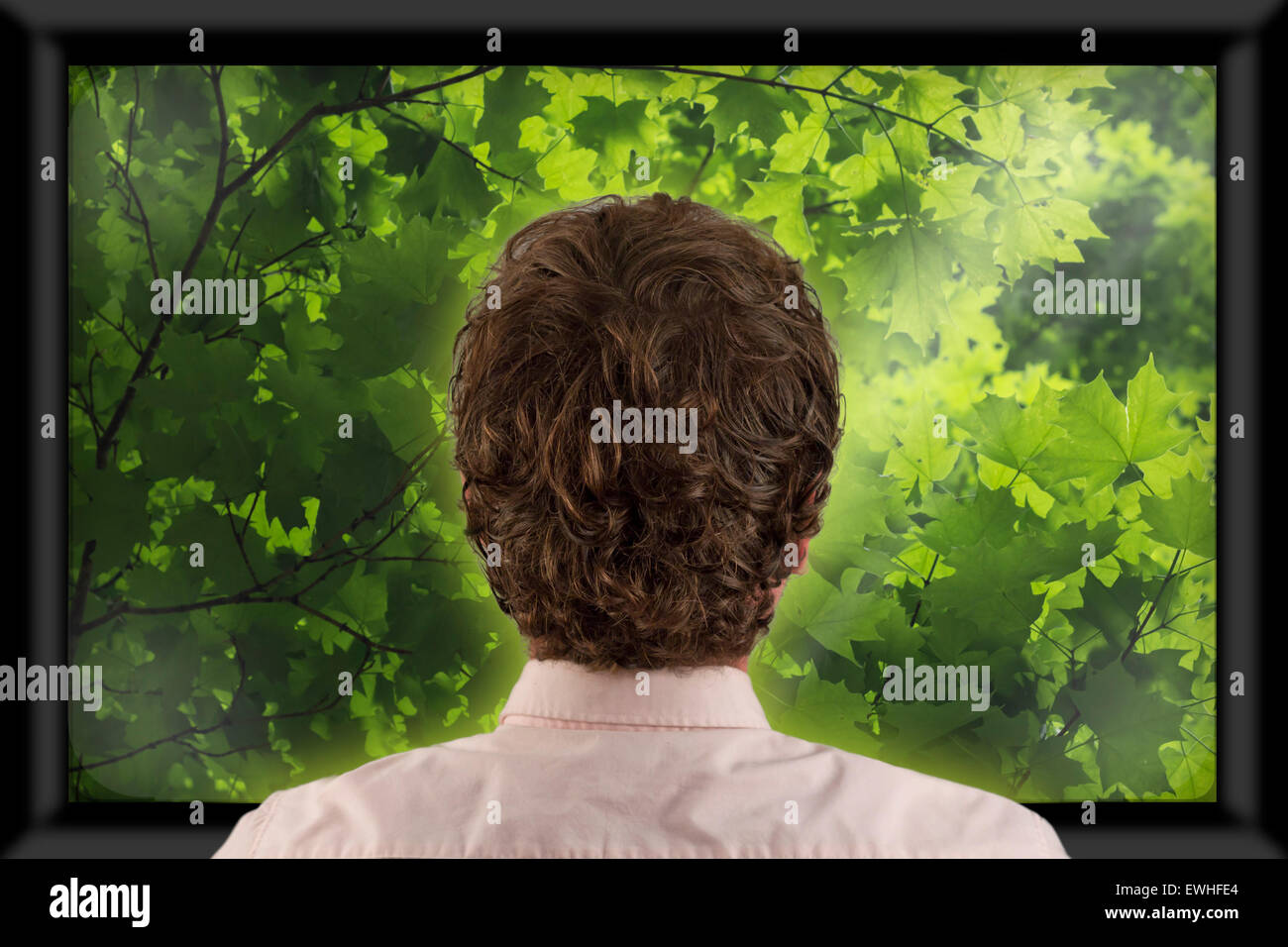 Back of man's head as he's watching flat screen television Stock Photo ...