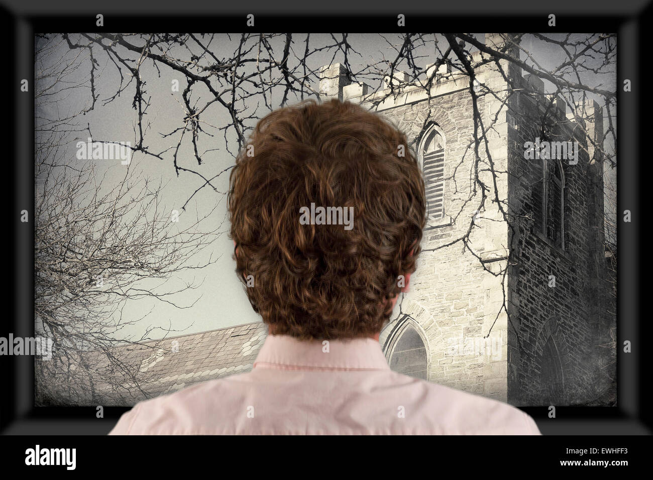 Back of man's head as he's watching flat screen television Stock Photo ...