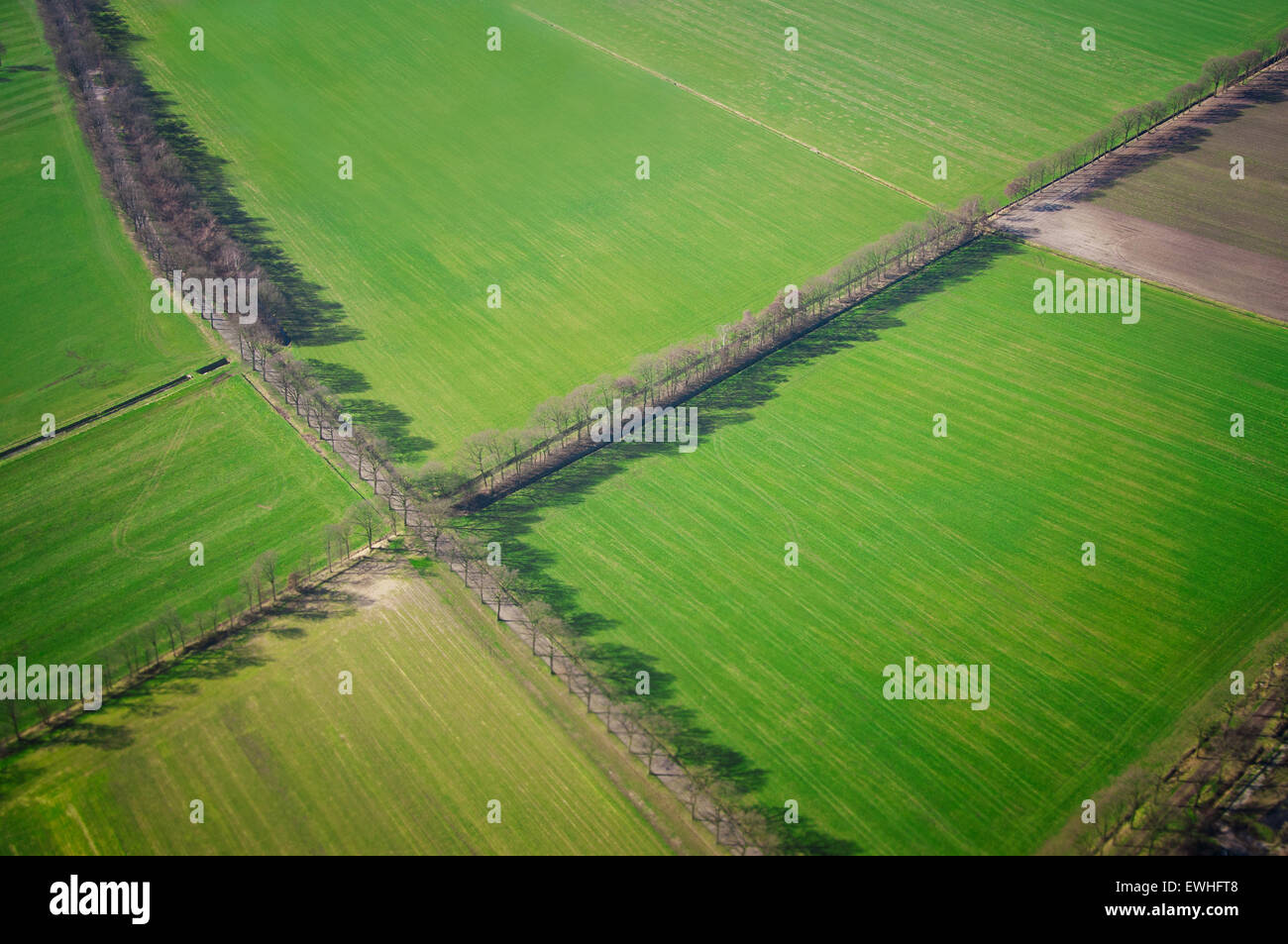 Green color land hi-res stock photography and images - Alamy