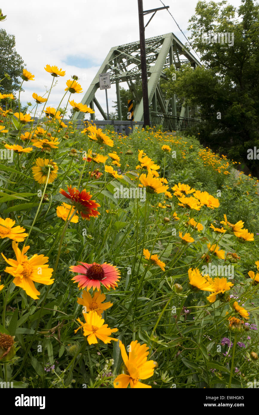 Wildflowers on Erie Canal embankment Stock Photo - Alamy