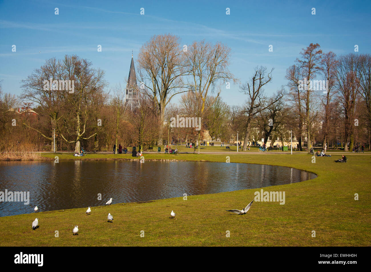 Amsterdam tree hi-res stock photography and images - Alamy