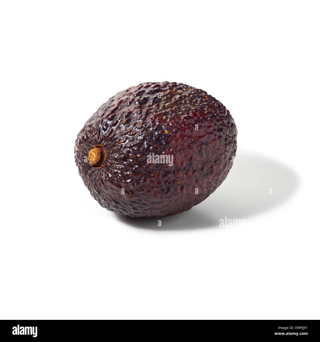 One whole avocado isolated on white Background Stock Photo - Alamy