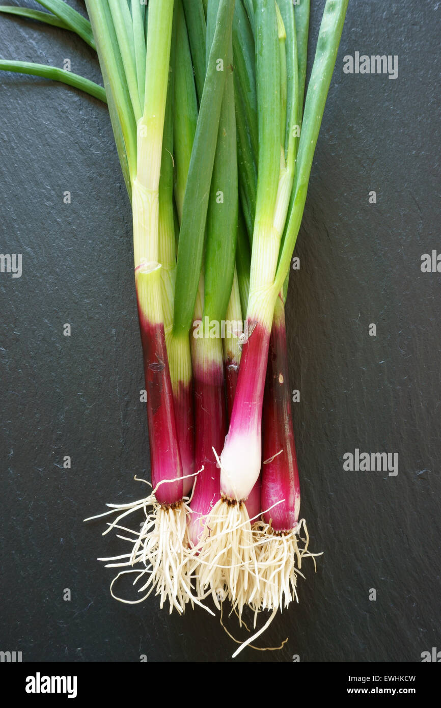 Cutting green onions on black hi-res stock photography and images - Alamy