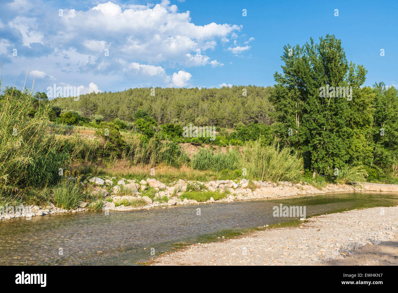 Landscape with forest, river and stones in Spain Stock Photo - Alamy