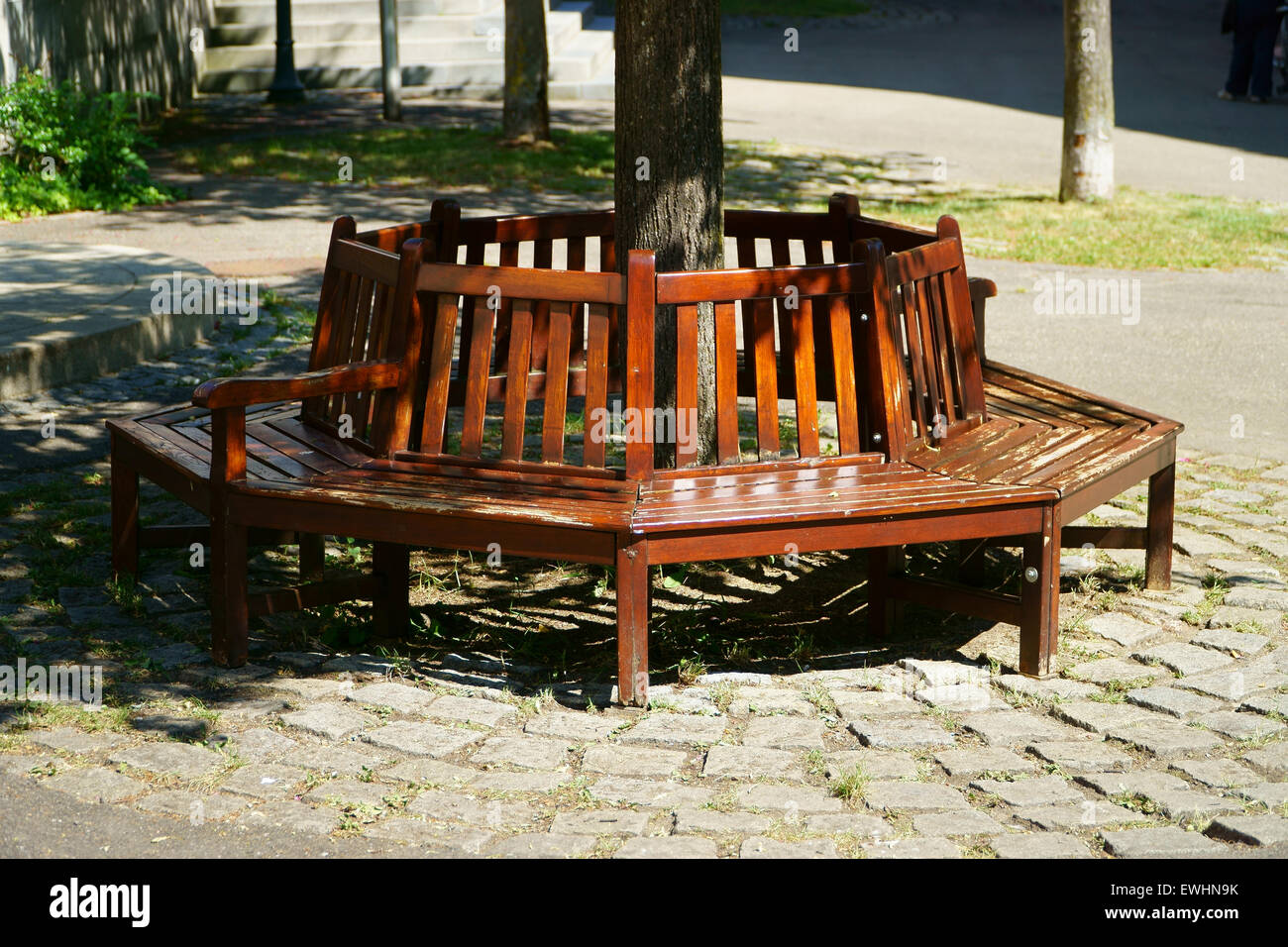 A brown wooden bench around a tree in a public park Stock Photo - Alamy