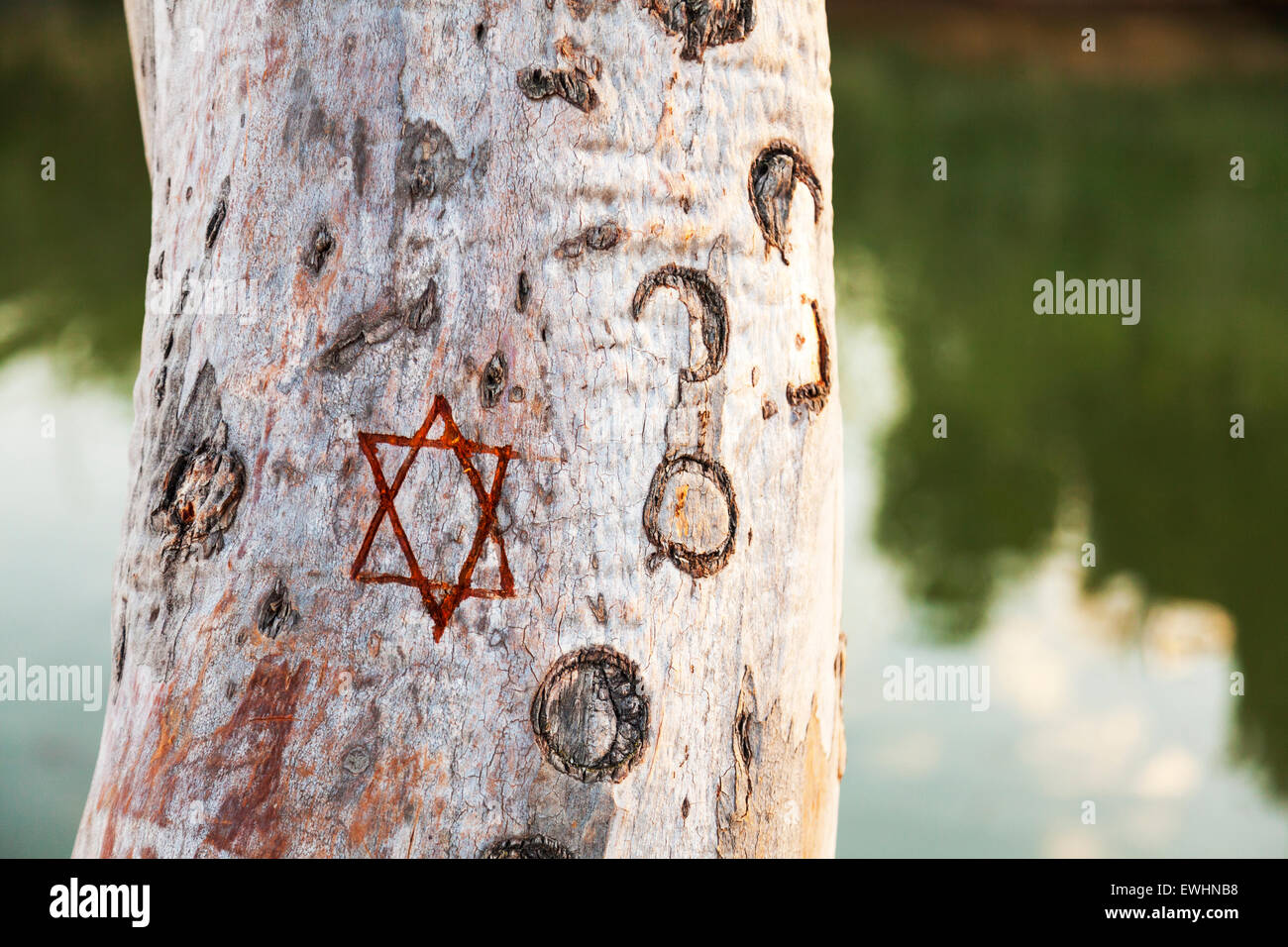 Pentagram star of David carved in to tree trunk symbol emblem meaning ...