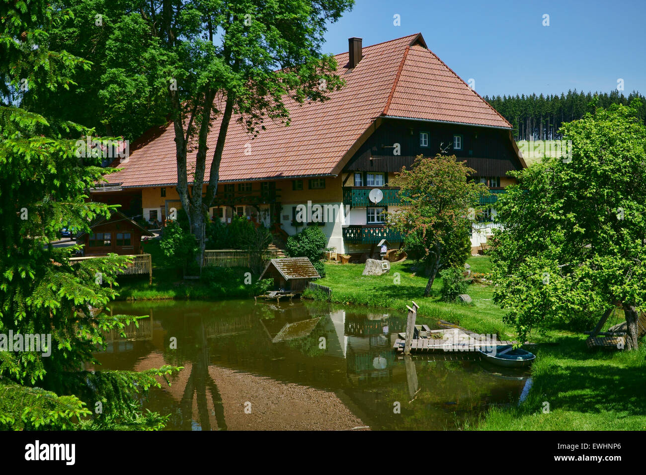 Beautiful farmhouse on a large farm with a pond in the garden in the ...