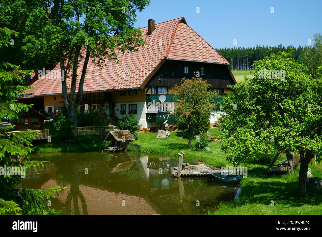 Beautiful farmhouse on a large farm with a pond in the garden in the ...