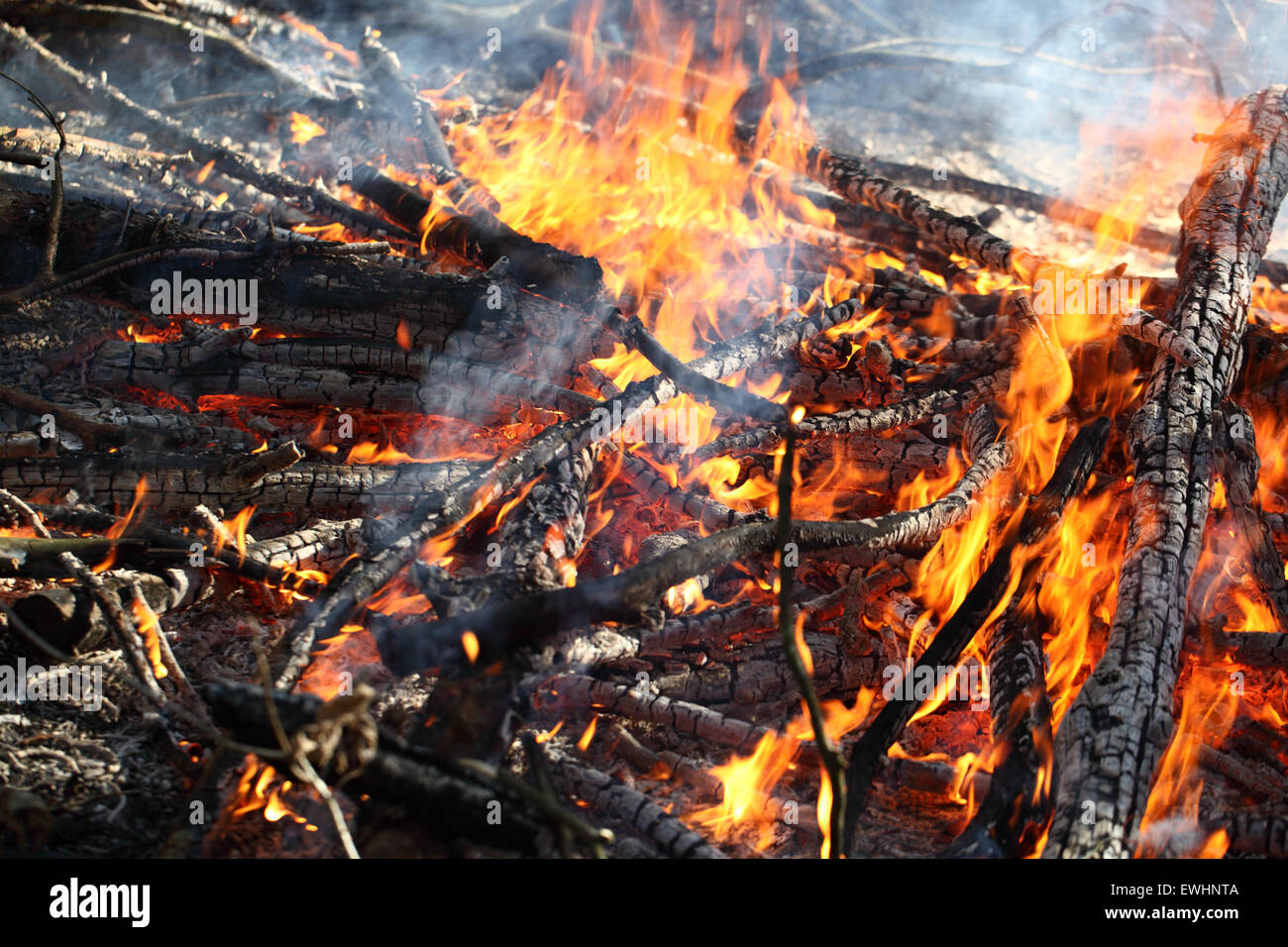 a big fire in the forest Stock Photo - Alamy