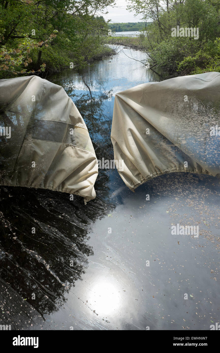 Foliage covers hi-res stock photography and images - Alamy