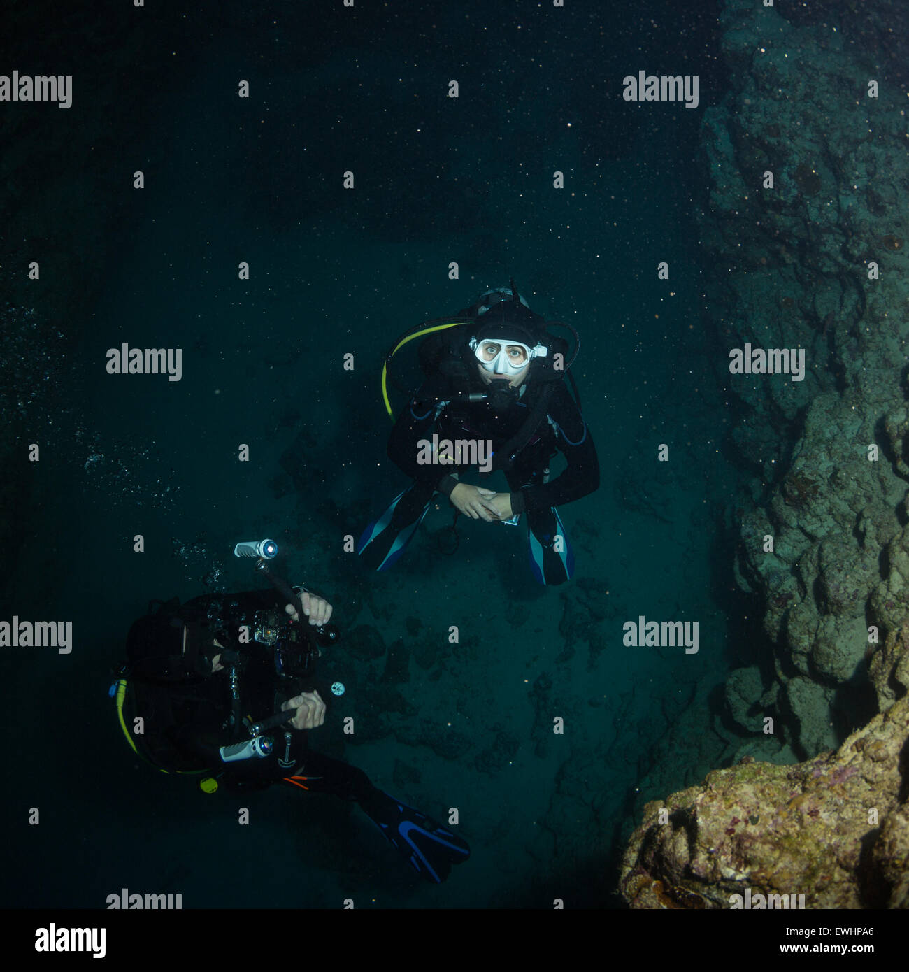 Reaf view hi-res stock photography and images - Alamy