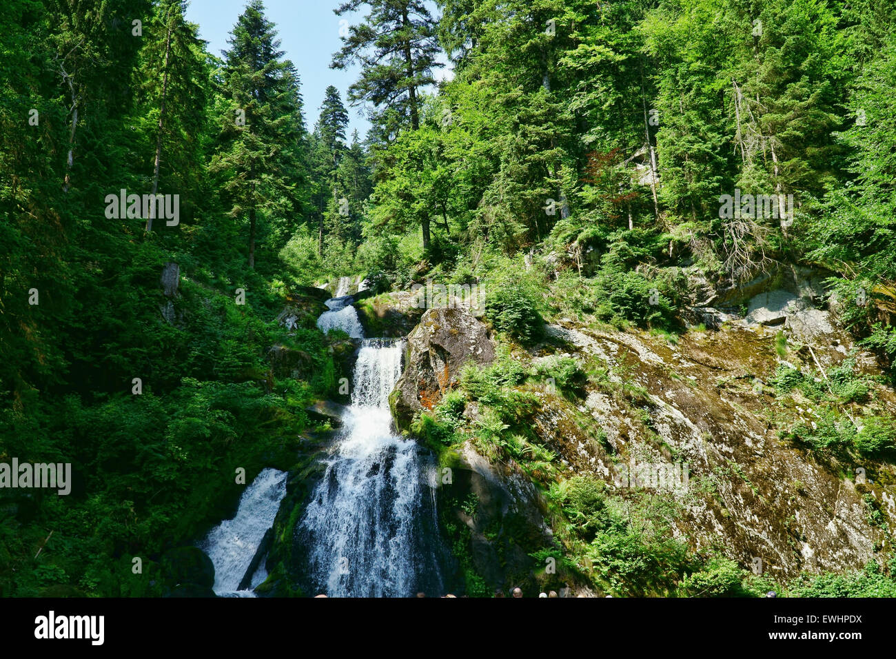 A natural spectacle of a special kind in the Black Forest, the highest ...